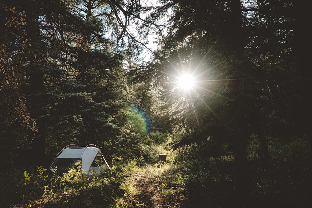 Camping nature économie - Guide complet | JARP.fr