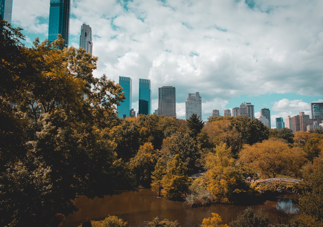 Central park : guide complet et itinéraires | JARP.fr
