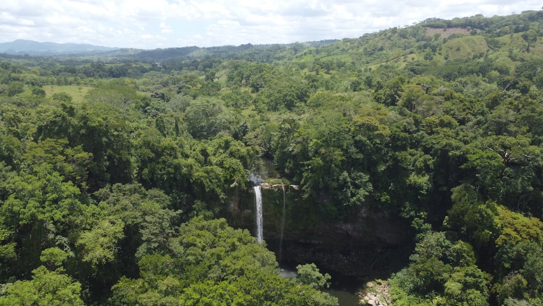 Amazonie brésilienne : guide | JARP.fr
