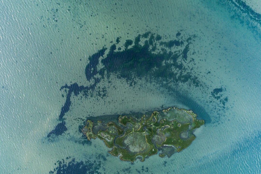 Rangiroa : guide de l'atoll | JARP.fr